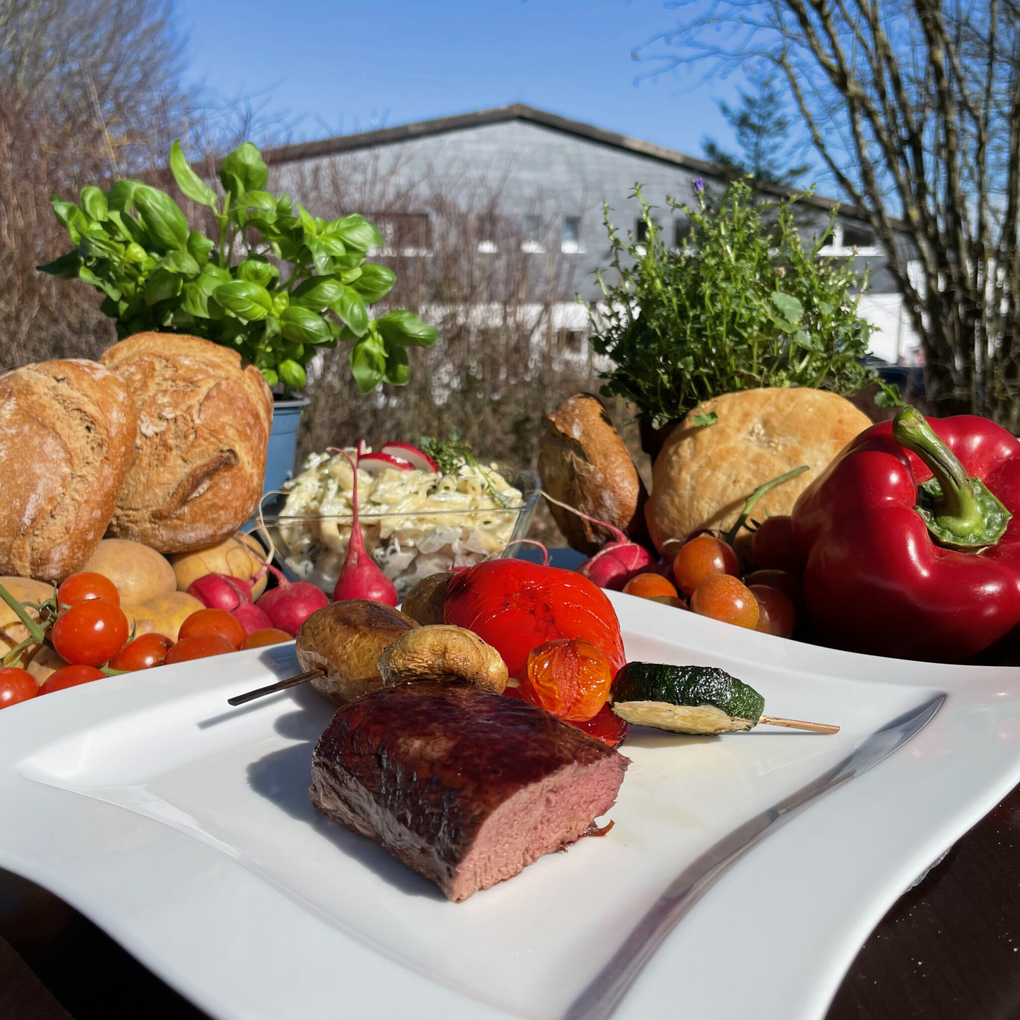 Wildbret online bestellen - Reh, Rotwild und Wildschwein