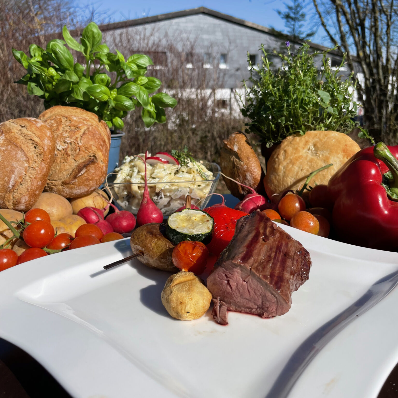 Wildbret online bestellen - Reh, Rotwild und Wildschwein